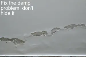 How to hide damp from a surveyor (Over paint & cover up or fix the damp?)