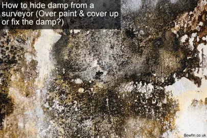 How to hide damp from a surveyor (Over paint & cover up or fix the damp?)